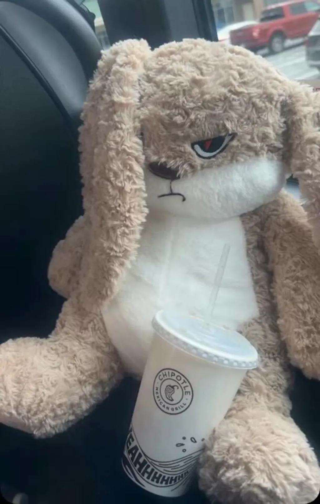 Broody™ Official Grumpy Bunny Plushie - Free Shipping on Bundles