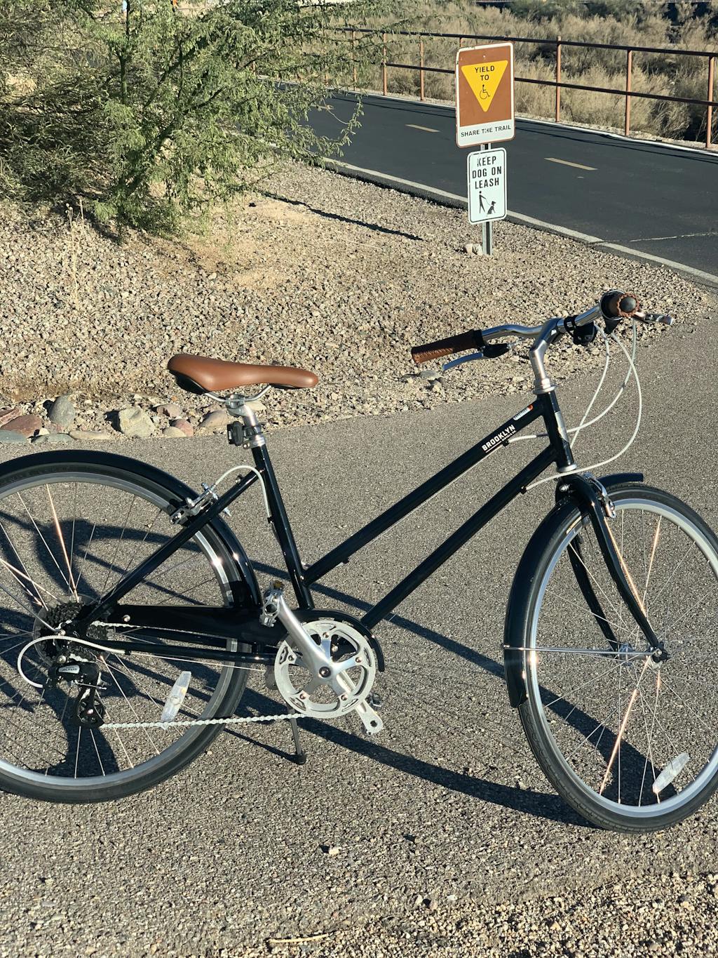 Step Through Bikes | Stylish Step Through Bicycles - Brooklyn Bicycle Co.