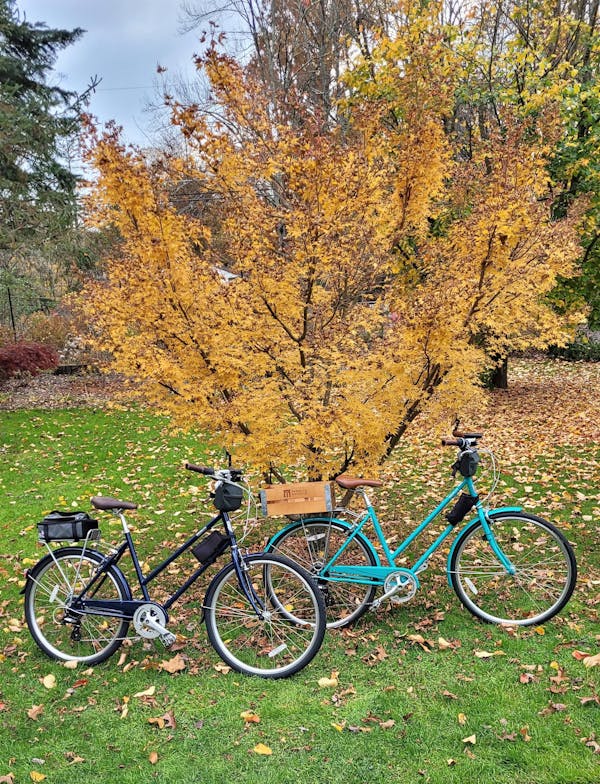 Most Bikeable Coastal Cities in America | Brooklyn Bicycle Co.