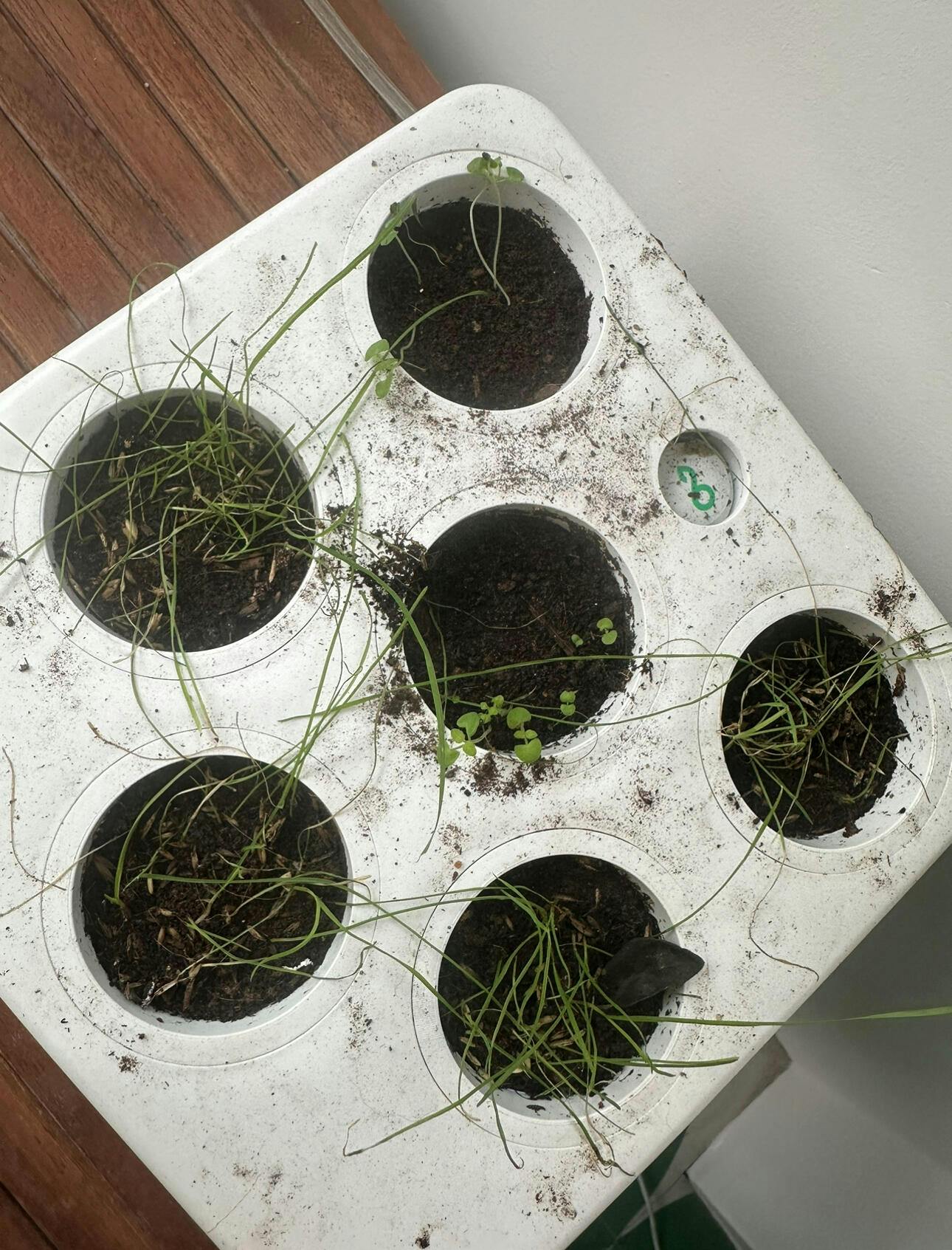 Brota Company - Brota Box Horta Inteligente