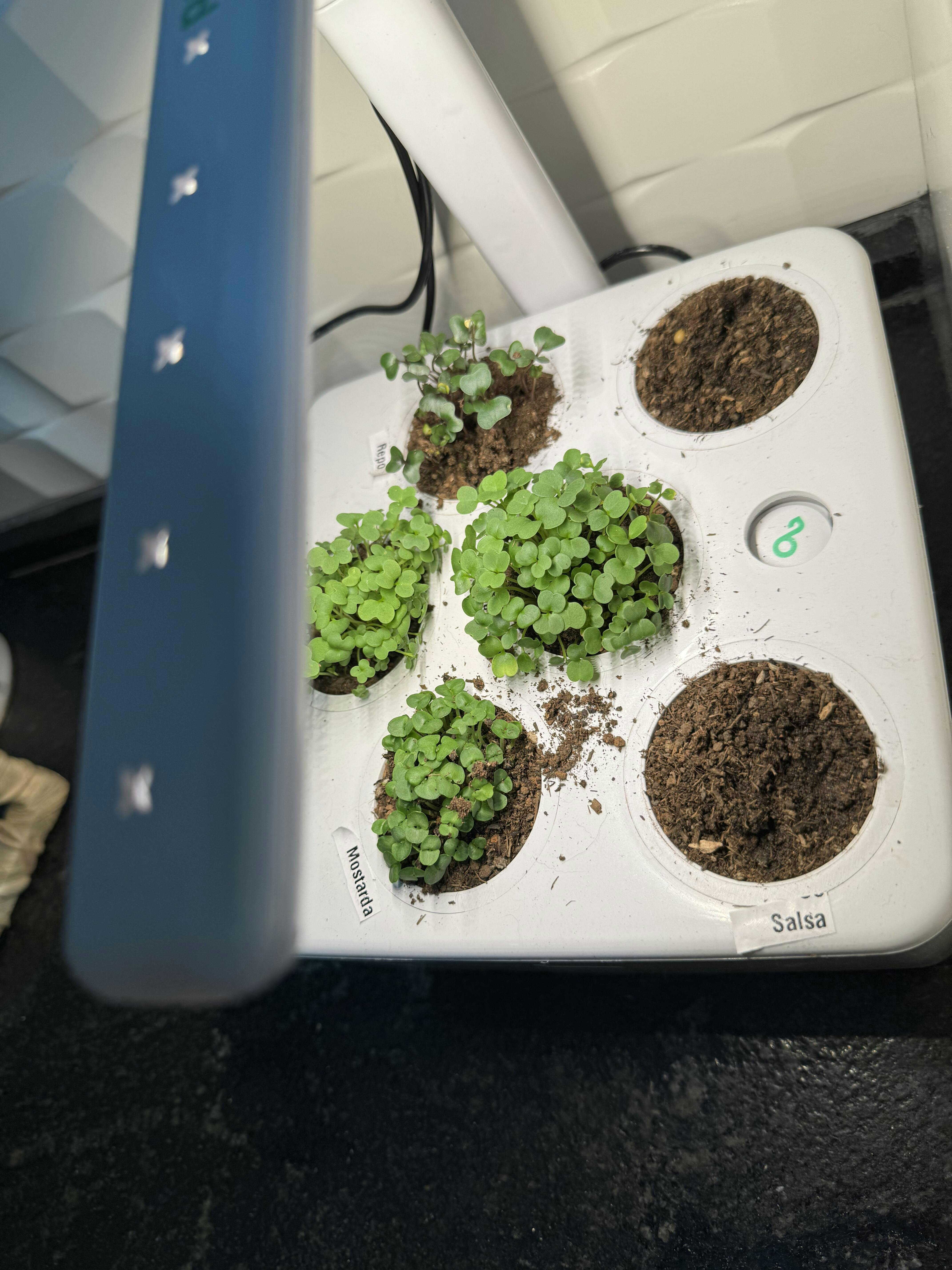 Brota Company - Brota Box Horta Inteligente