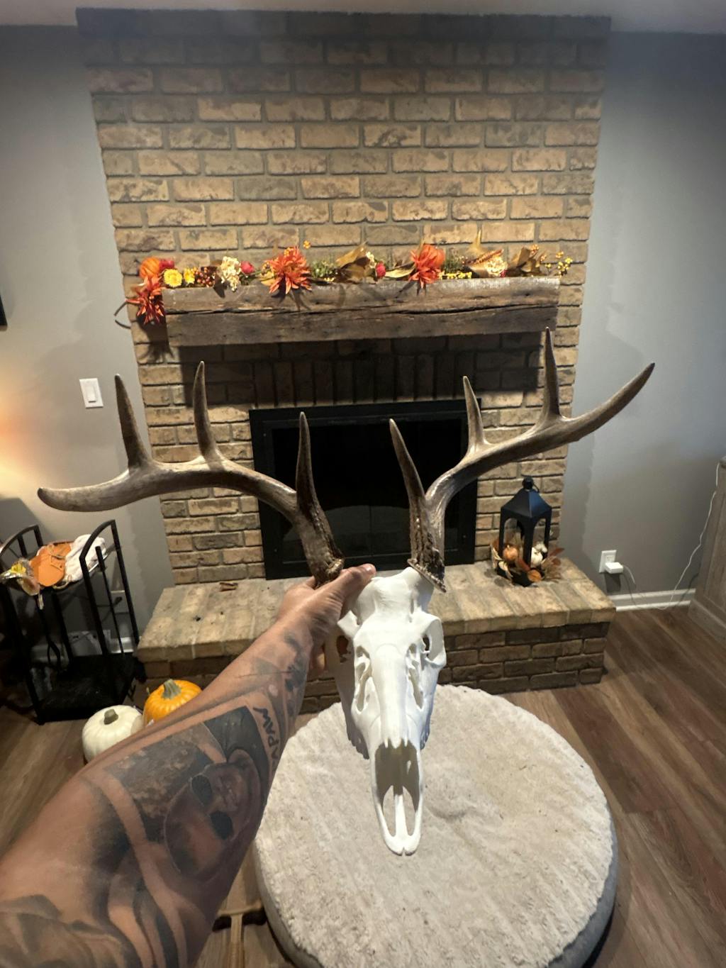 Whitetail Deer Snap Skull - Replica Mount – Buck Bracket