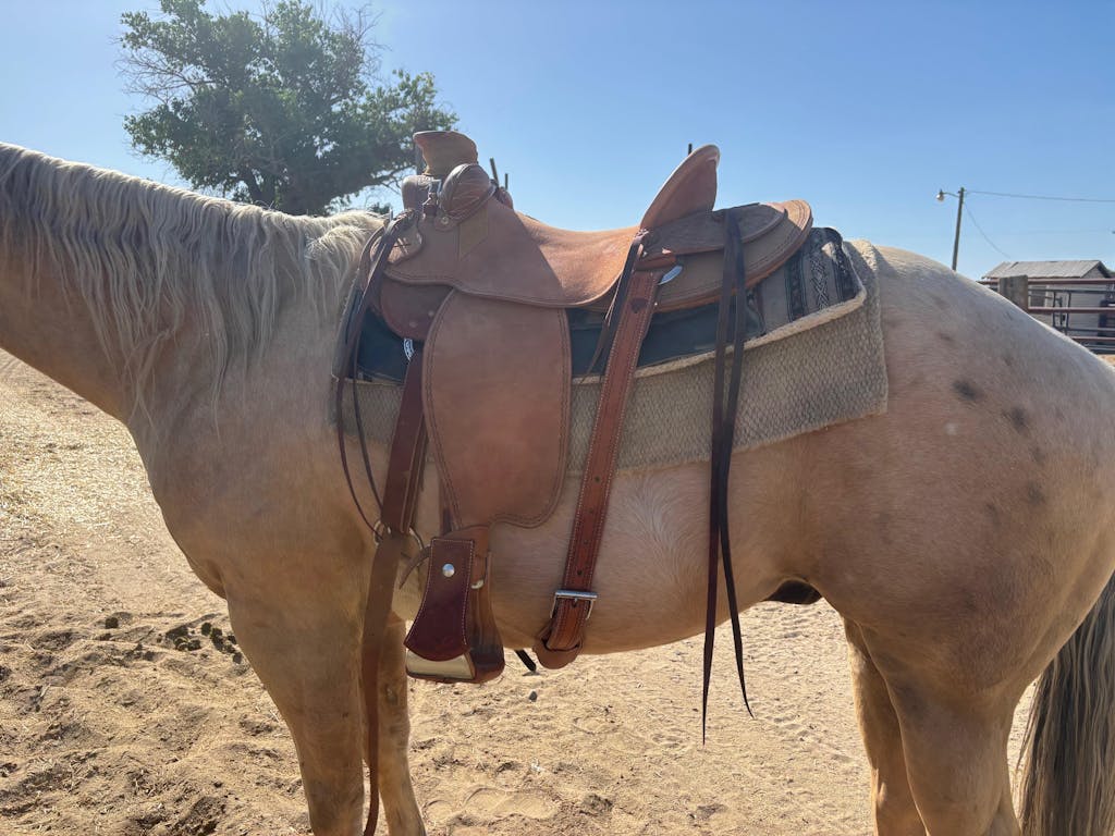 Cliff Wade Buckaroo Ranch Saddle – Buckaroo Leather Products