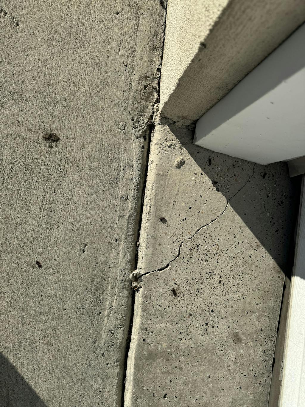 Bug Guard Smart Pest Plan: Top DIY Pest Solution