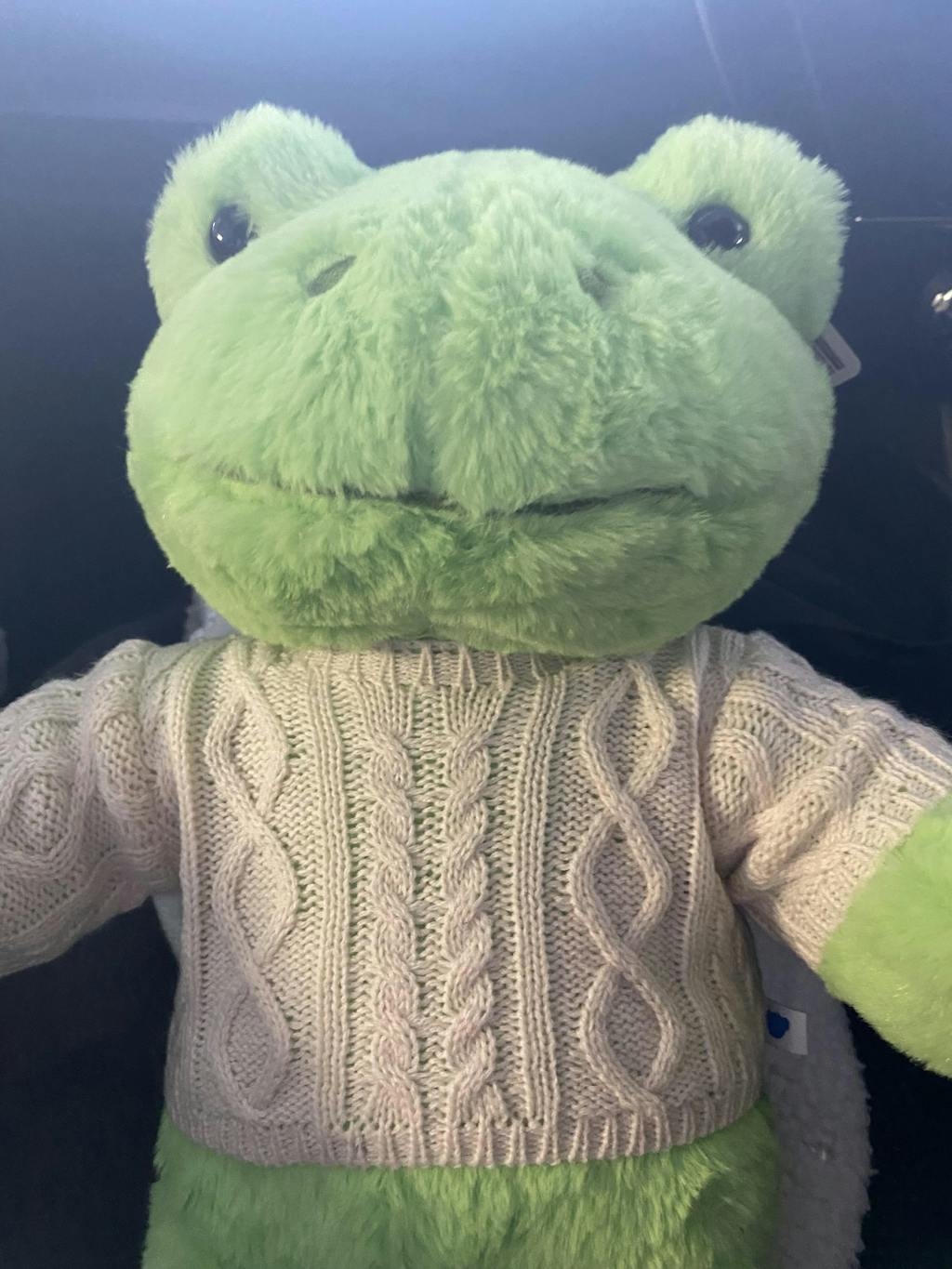 Spring Green Frog – Build-A-Bear Workshop Australia