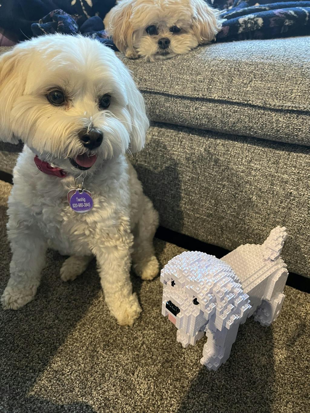 Maltese Toy Building Blocks l Different Than LEGOs