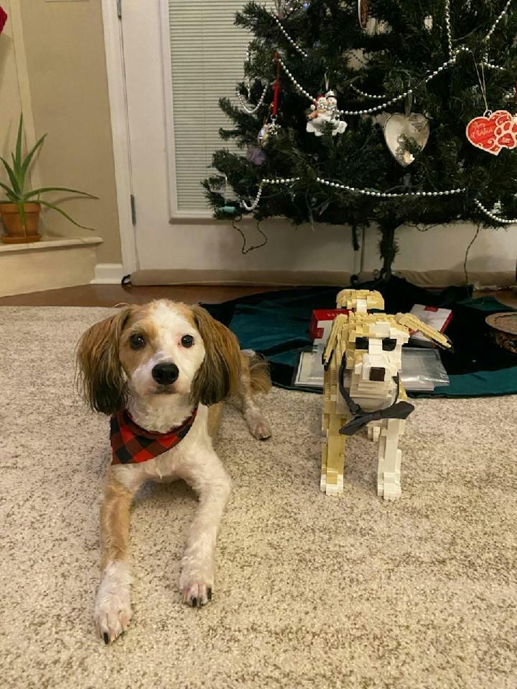 Custom Pet Building Kit - Pet Building Kit - Build 'Em Pets