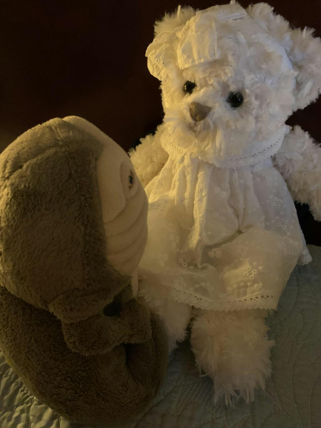 Nikole – Bukowski Bears