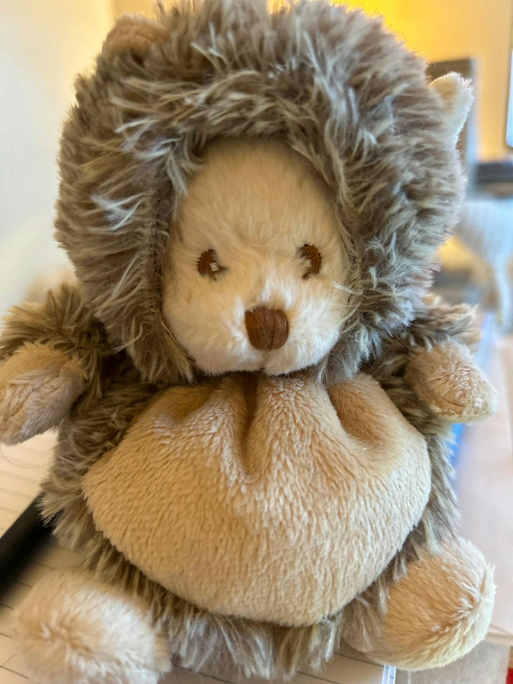 Ziggy Hedgehog – Bukowski Bears