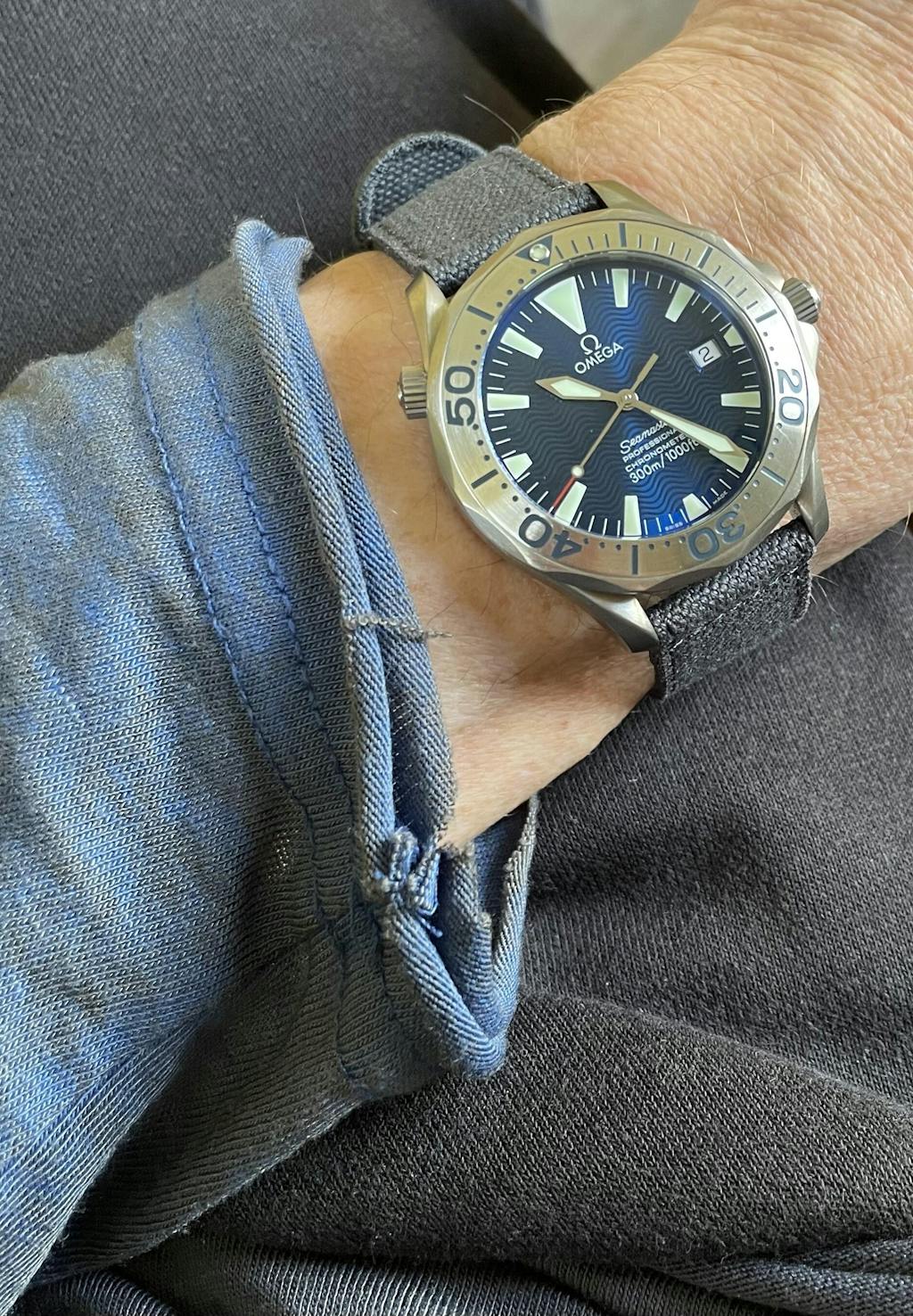 Safari Graphite Canvas Watch Strap