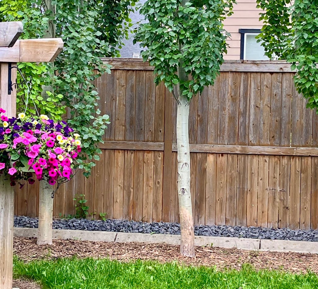 40mm Rundle Rock 1 Yard Bag - Decorative Rock Supply Calgary