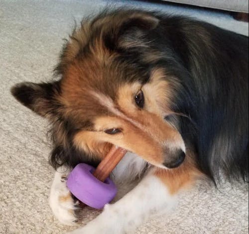 Bully Grip® Bully Stick Holder™