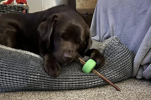 Bully Grip® Bully Stick Holder™