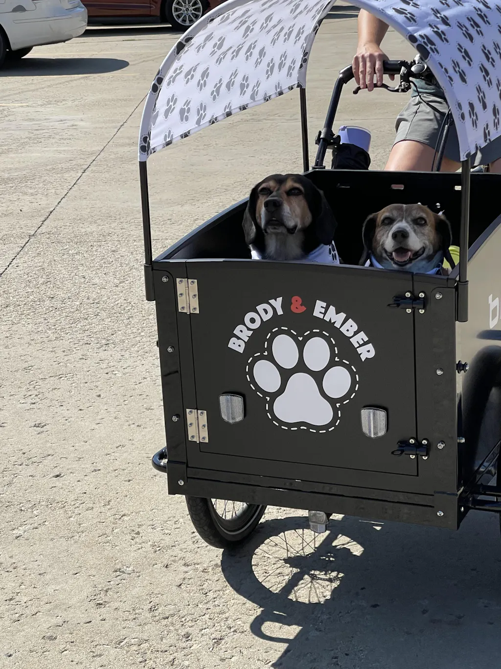 The K9 - Electric Cargo Bike for Dogs: e-Cargo Trike Carries 2+ Dogs