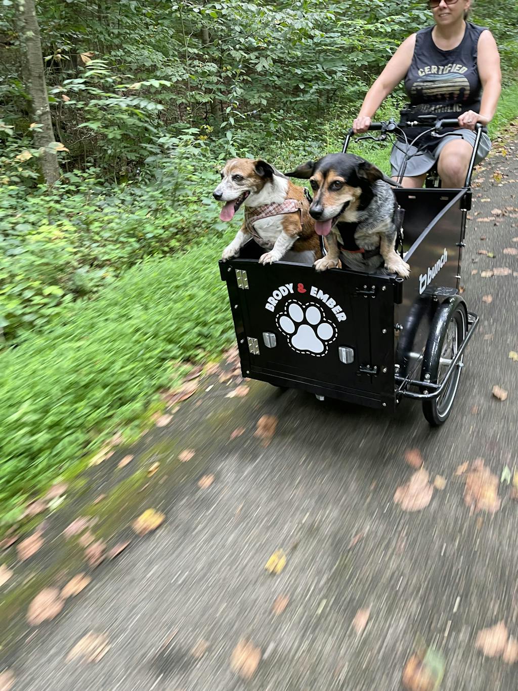 The K9 - Electric Cargo Bike for Dogs: e-Cargo Trike Carries 2+ Dogs
