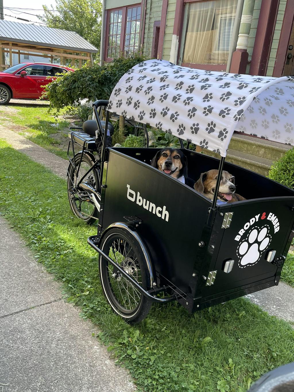 The K9 - Electric Cargo Bike for Dogs: e-Cargo Trike Carries 2+ Dogs