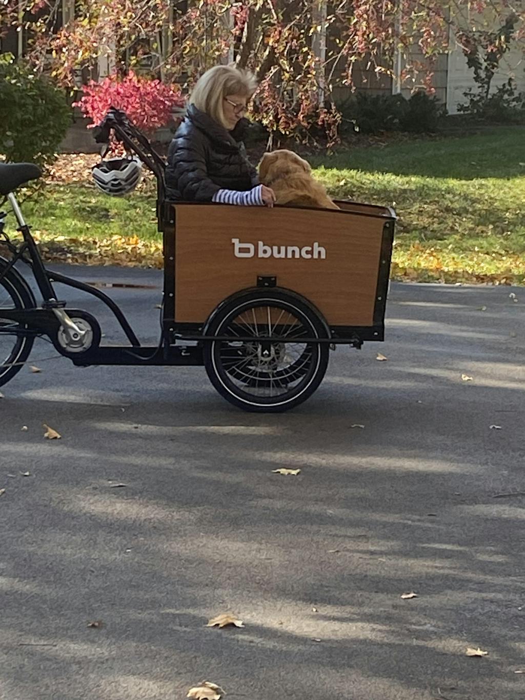 The K9 - Electric Cargo Bike for Dogs: e-Cargo Trike Carries 2+ Dogs