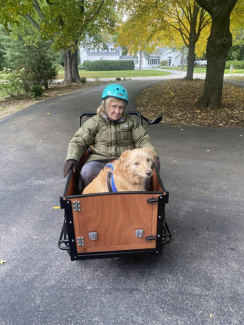 The K9 - Electric Cargo Bike for Dogs: e-Cargo Trike Carries 2+ Dogs