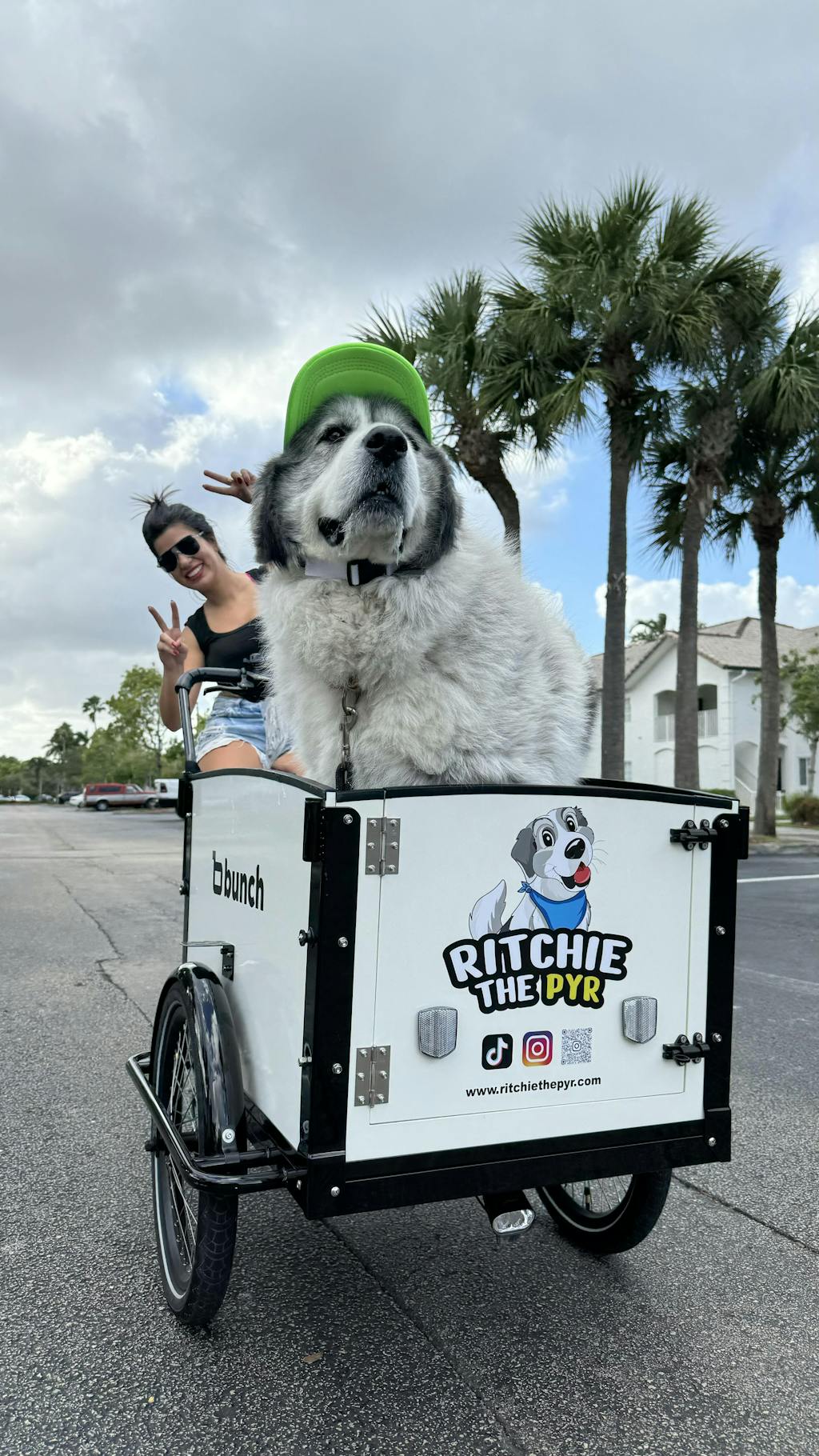 The K9 - Electric Cargo Bike for Dogs: e-Cargo Trike Carries 2+ Dogs