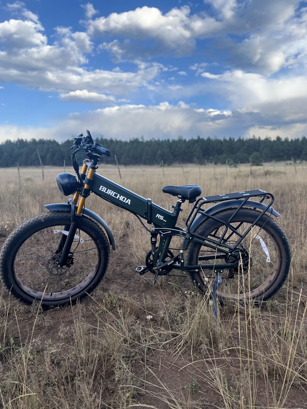 20Ah Fat Tire Folding Mountain Electric Bike MTB, Full Suspension Off ...