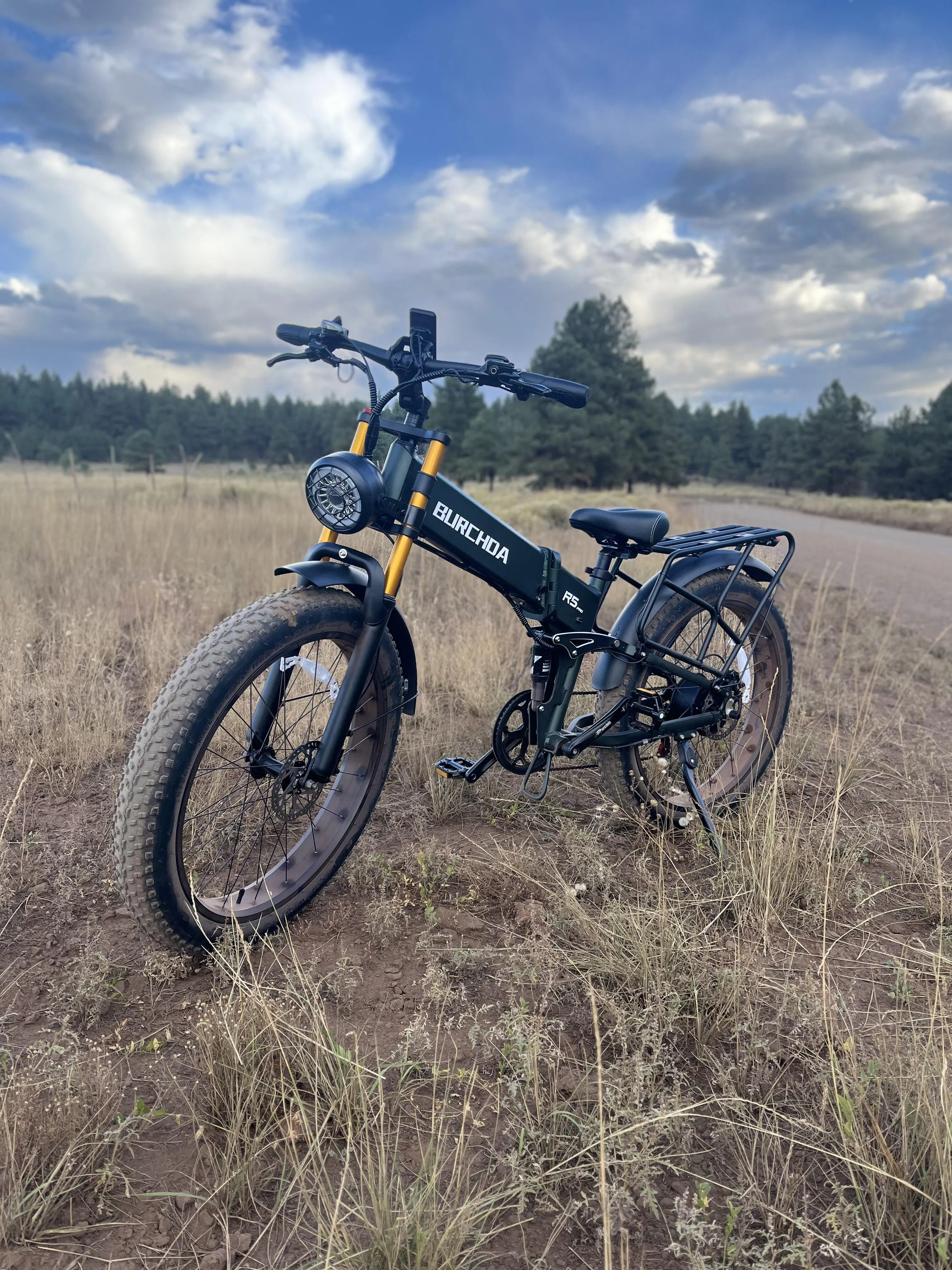 20Ah Fat Tire Folding Mountain Electric Bike MTB, Full Suspension Off ...