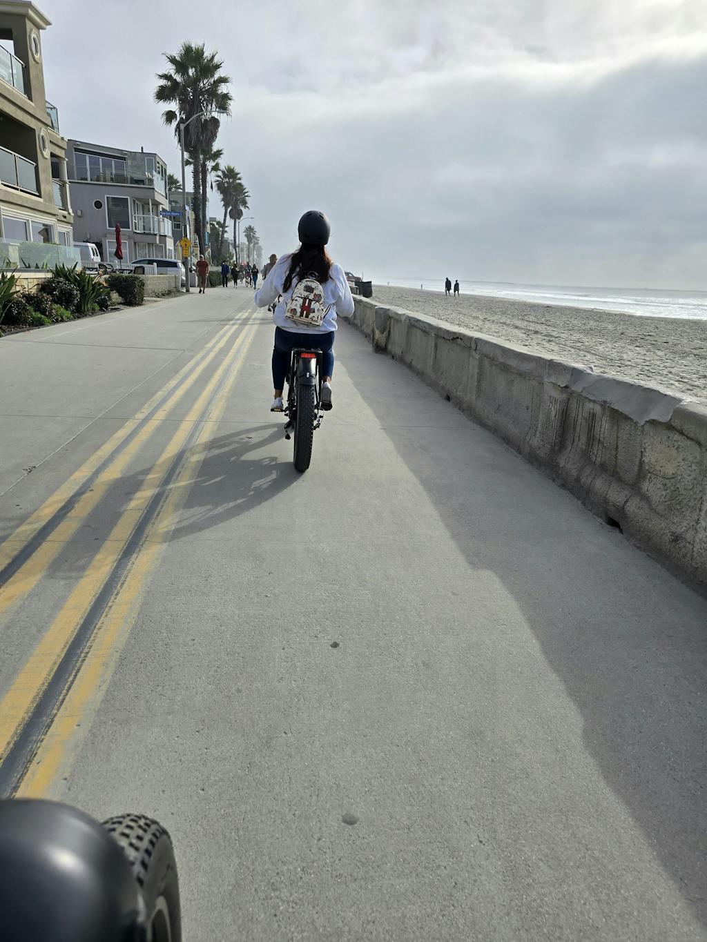 Hump Bag Rack Pannier Bag – Burchda Bikes