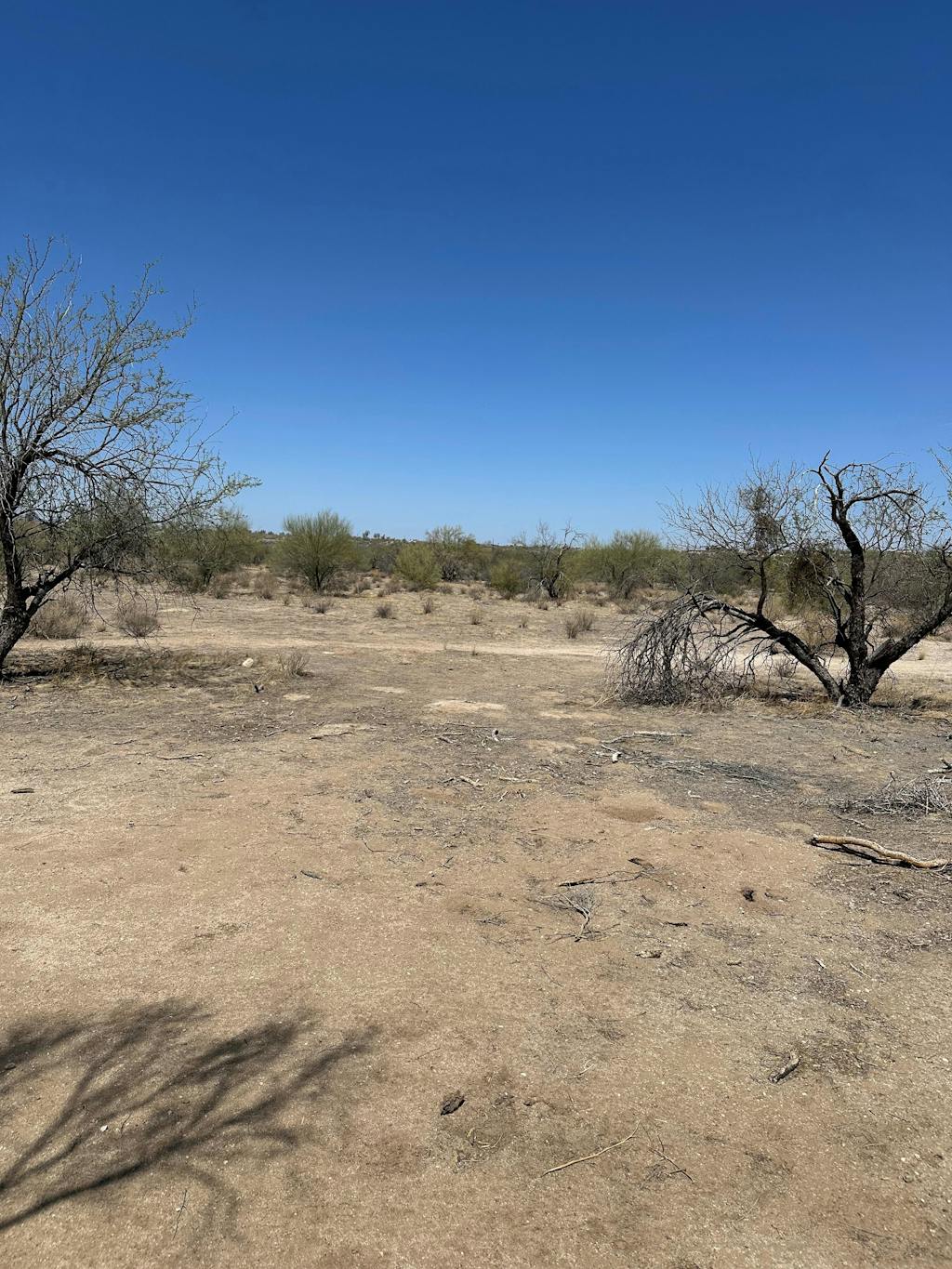 Burchda R5 Pro Folding Fat Tire Mountain Electric Bike MTB, Full ...