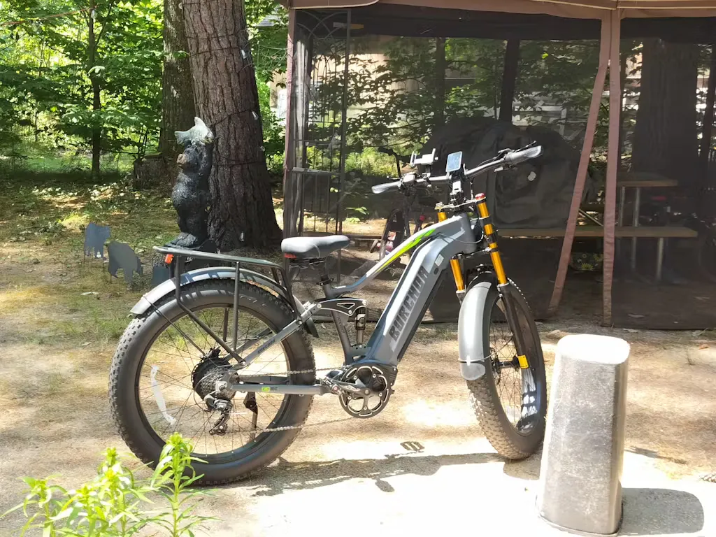 BURCHDA RX80 1000W 48V20AH Off-road fat tire ebikes all terrain ...