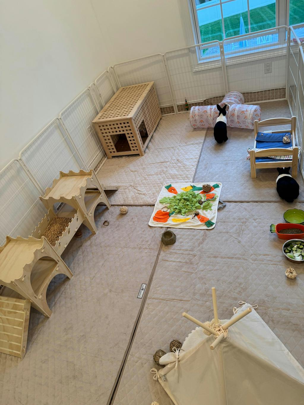 Harley Litter Box Enclosure – Burrows