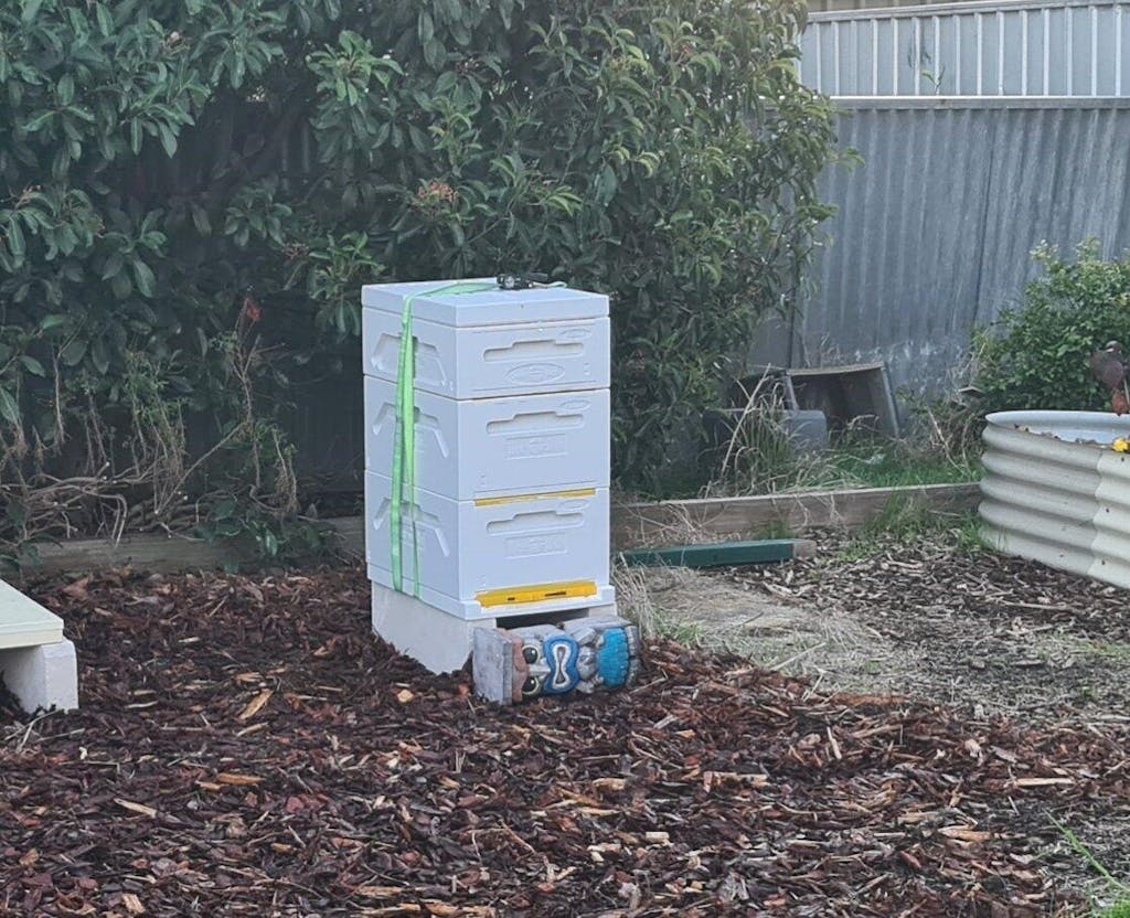 Paradise Honey Polystyrene Beehives | Buy Poly Bee Hives | Buzzbee ...