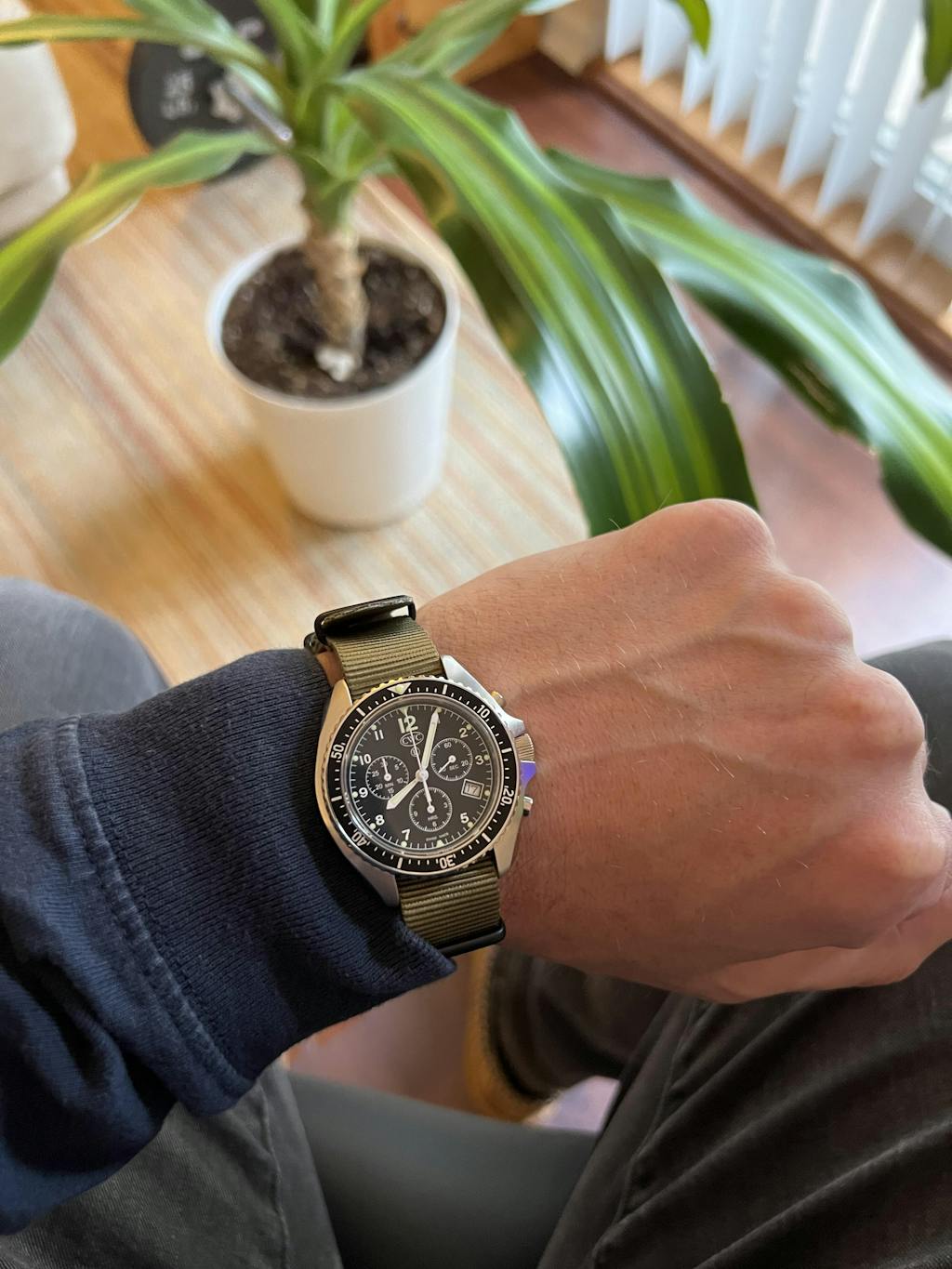 Cabot Sea Falcon Watch