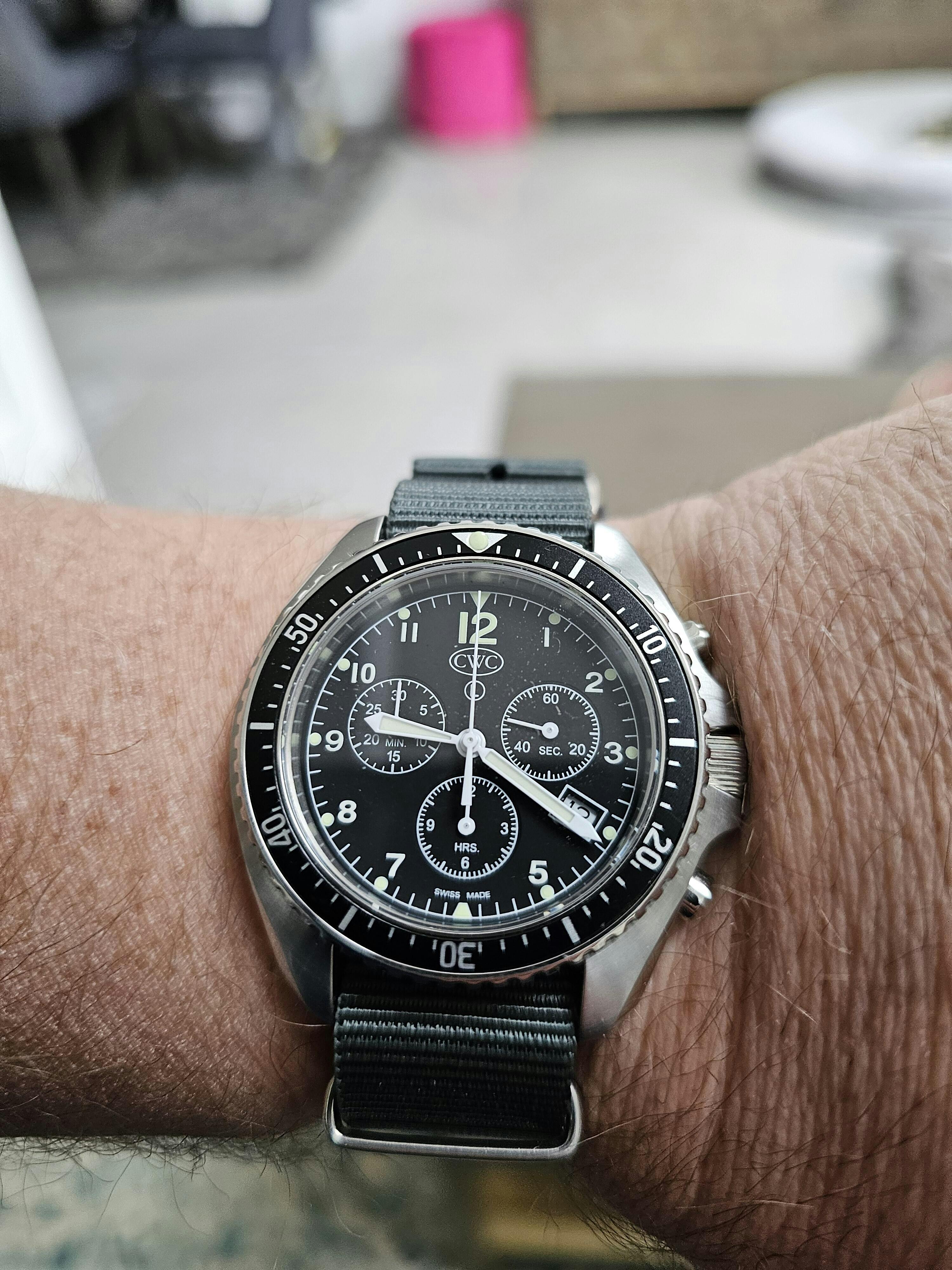 Cabot Sea Falcon Watch