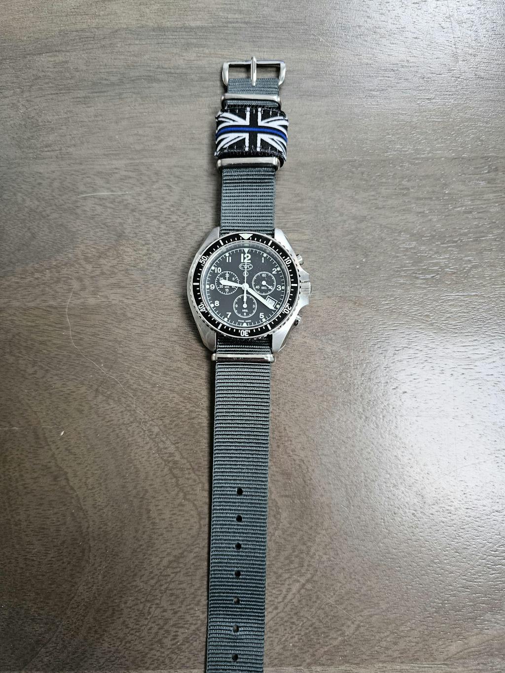 Cabot Sea Falcon Watch