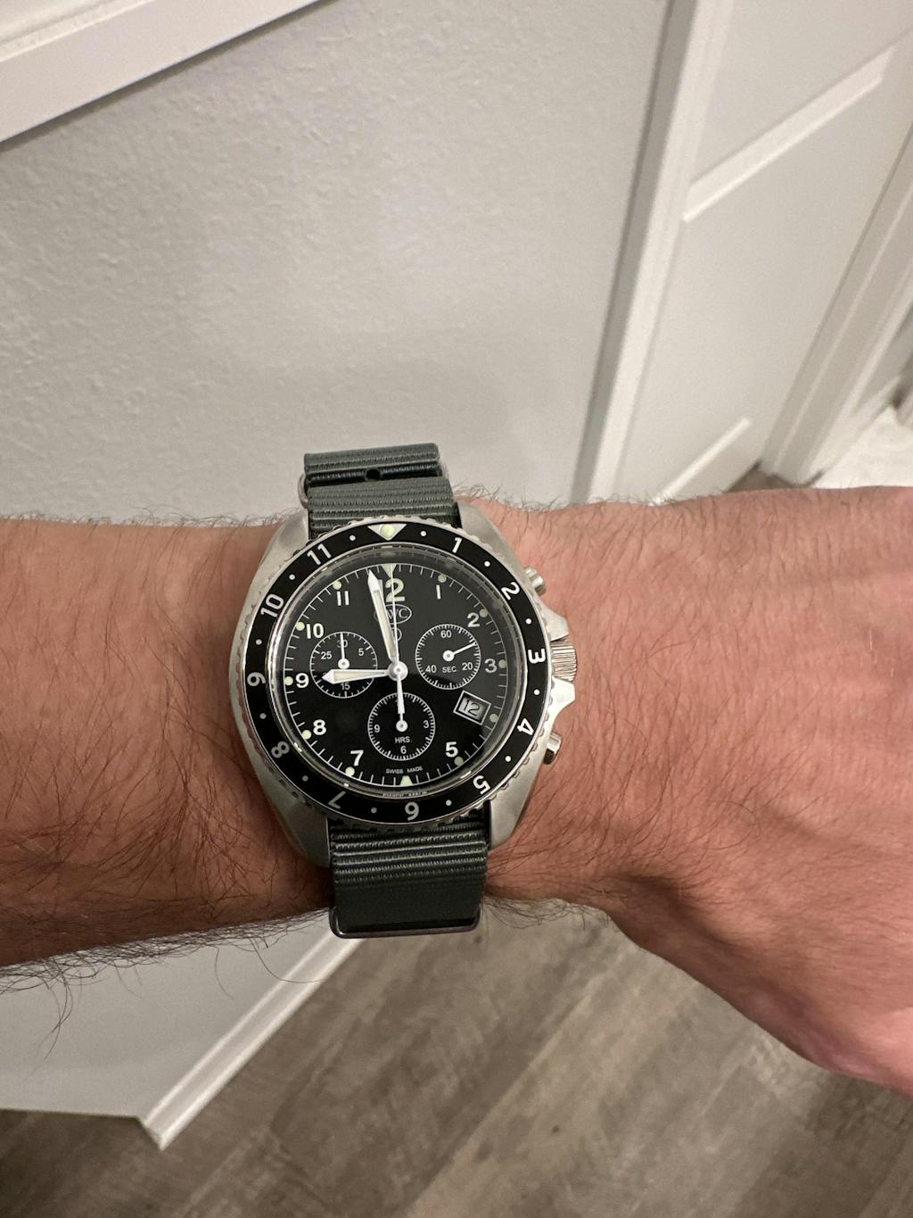 Cabot Sea Falcon Watch