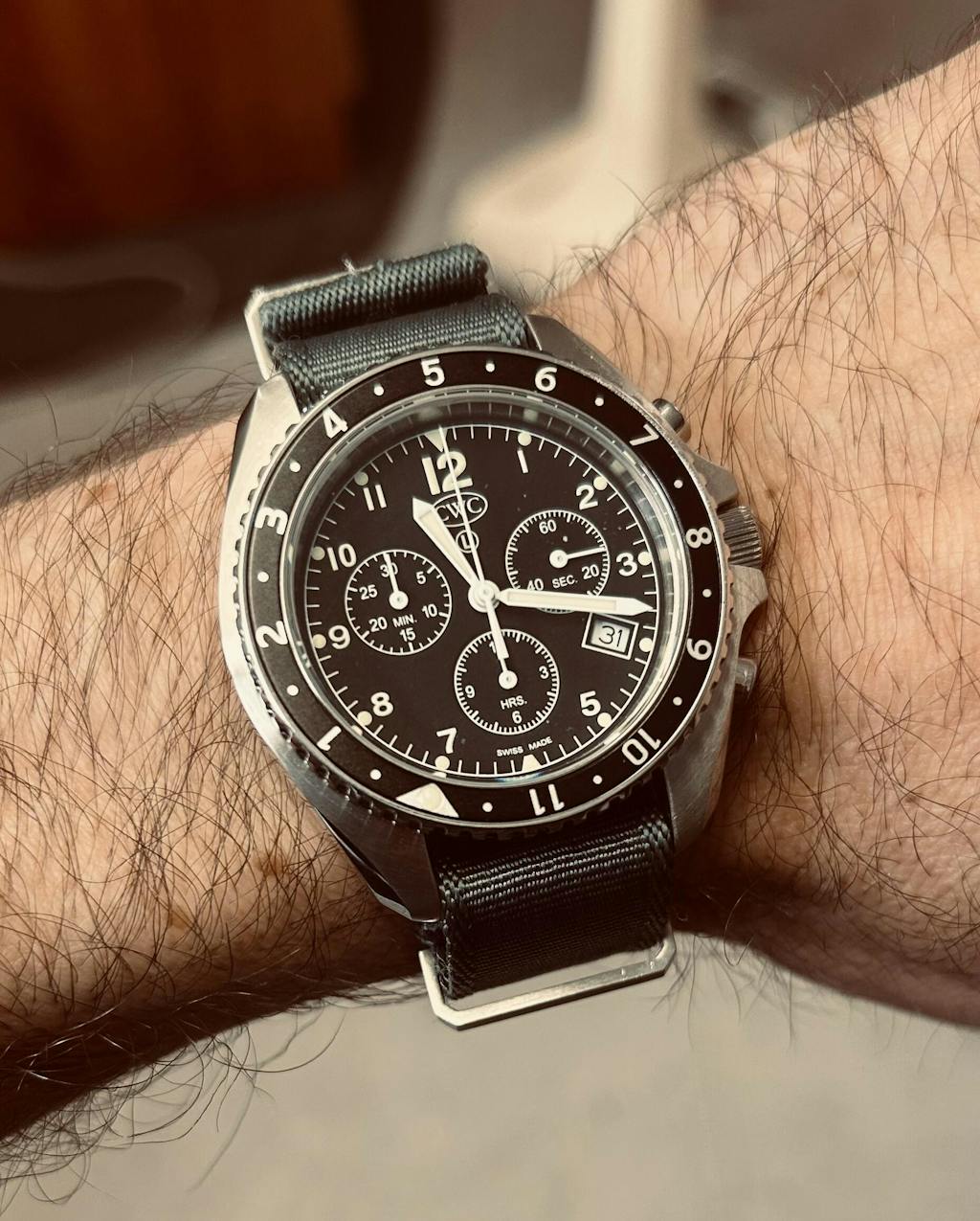 Cabot Sea Falcon Watch