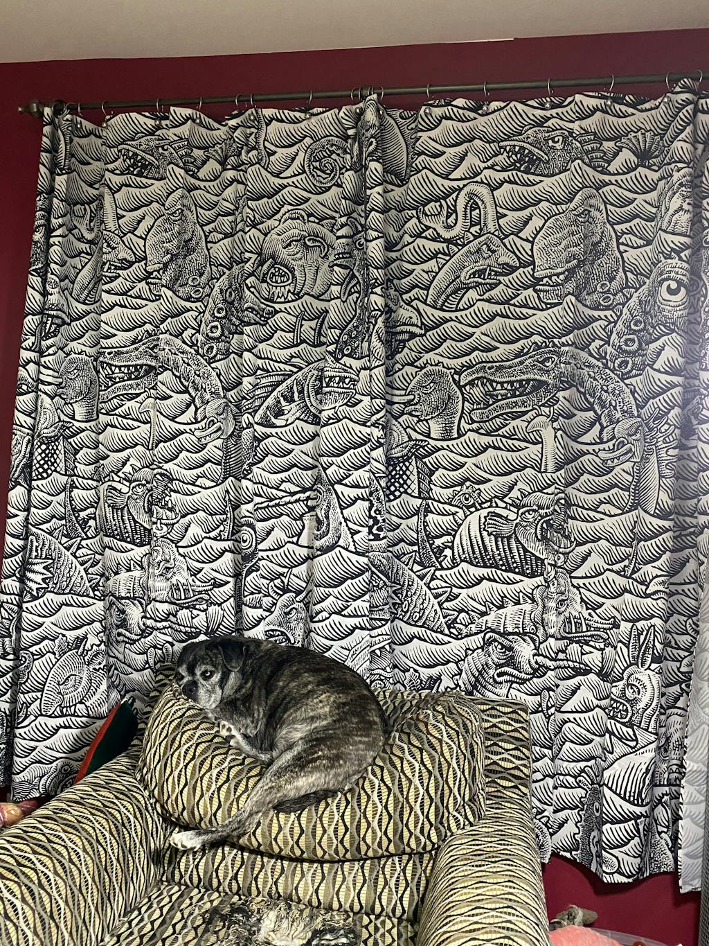 Sea Monster Shower Curtain - Calamityware®