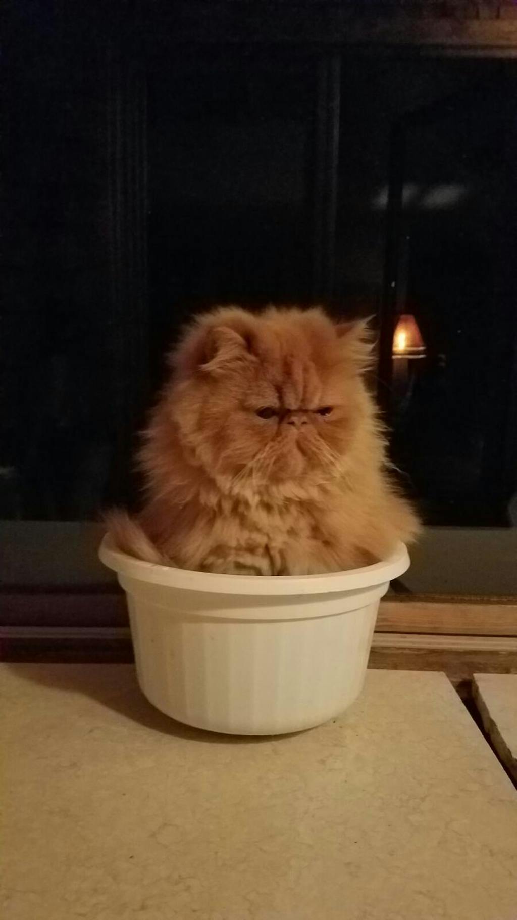 Double Trouble Memory Card Game - Calamityware®