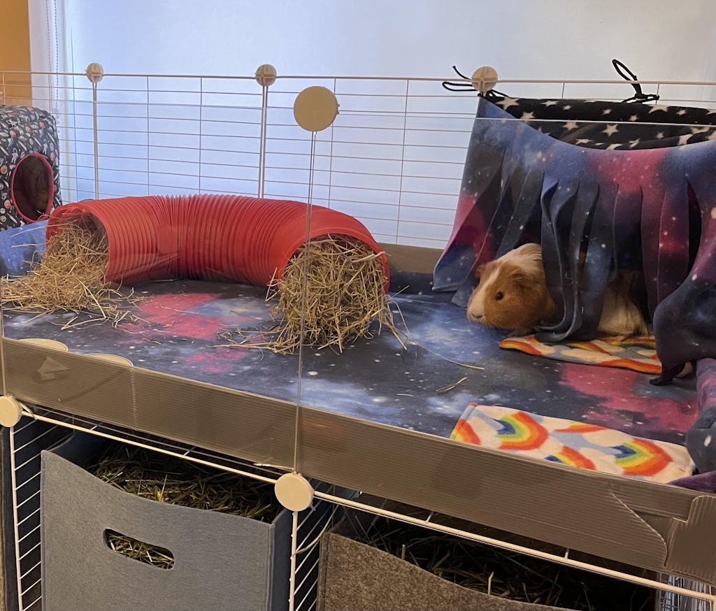 Corner Hide for Guinea Pigs - CandE Cosies