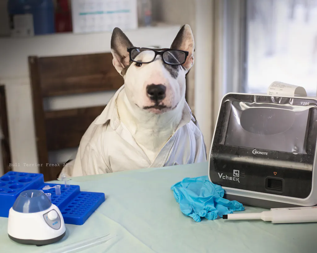 Vcheck V200 Bionote (Analyzer Only)