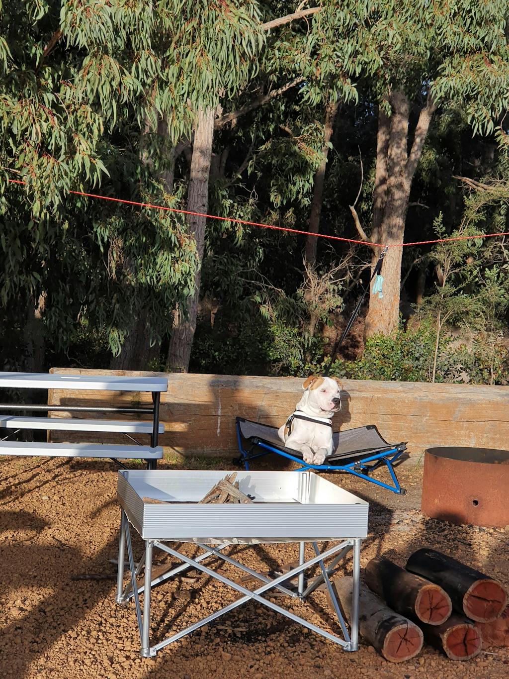 Ruffwear Knot-a-Hitch: Campsite Dog Tethering System |Australia ...