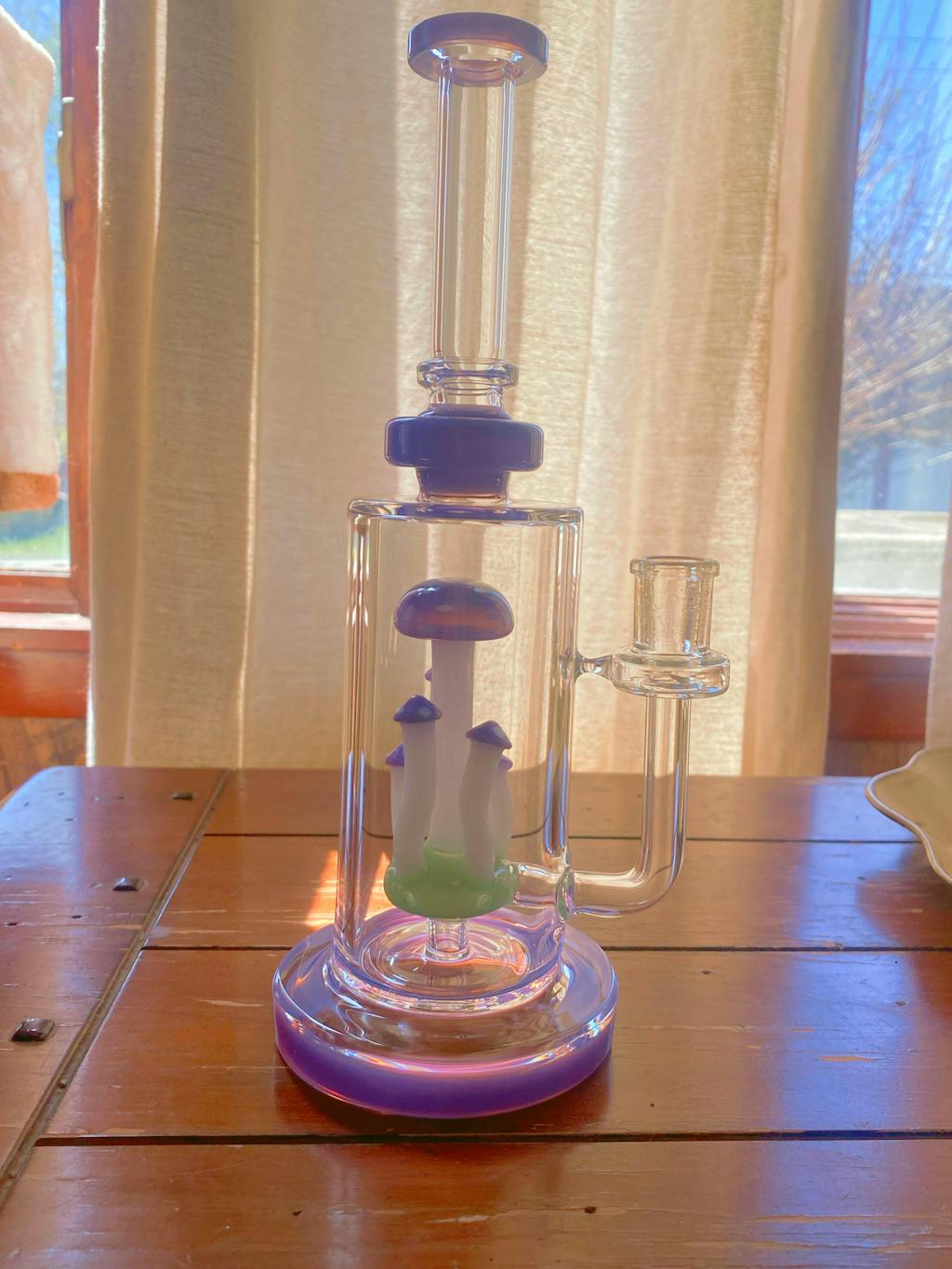 MUSHROOM TERRANIUM Bong or Rig – Canna Style