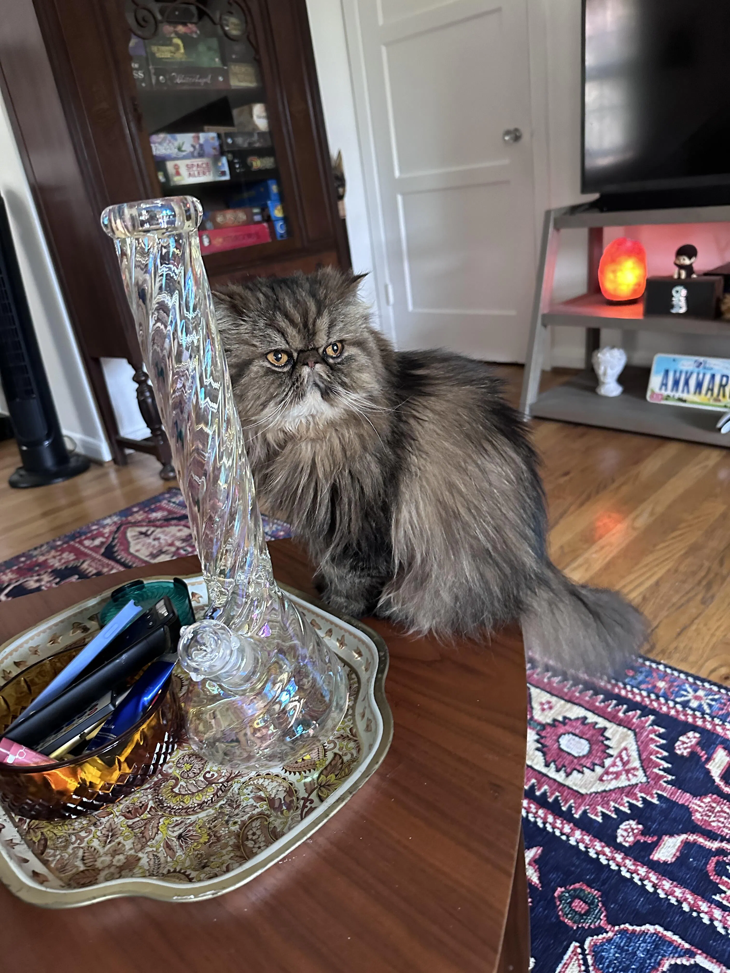 IRIDESCENT SWIRL BEAKER BONG – Canna Style