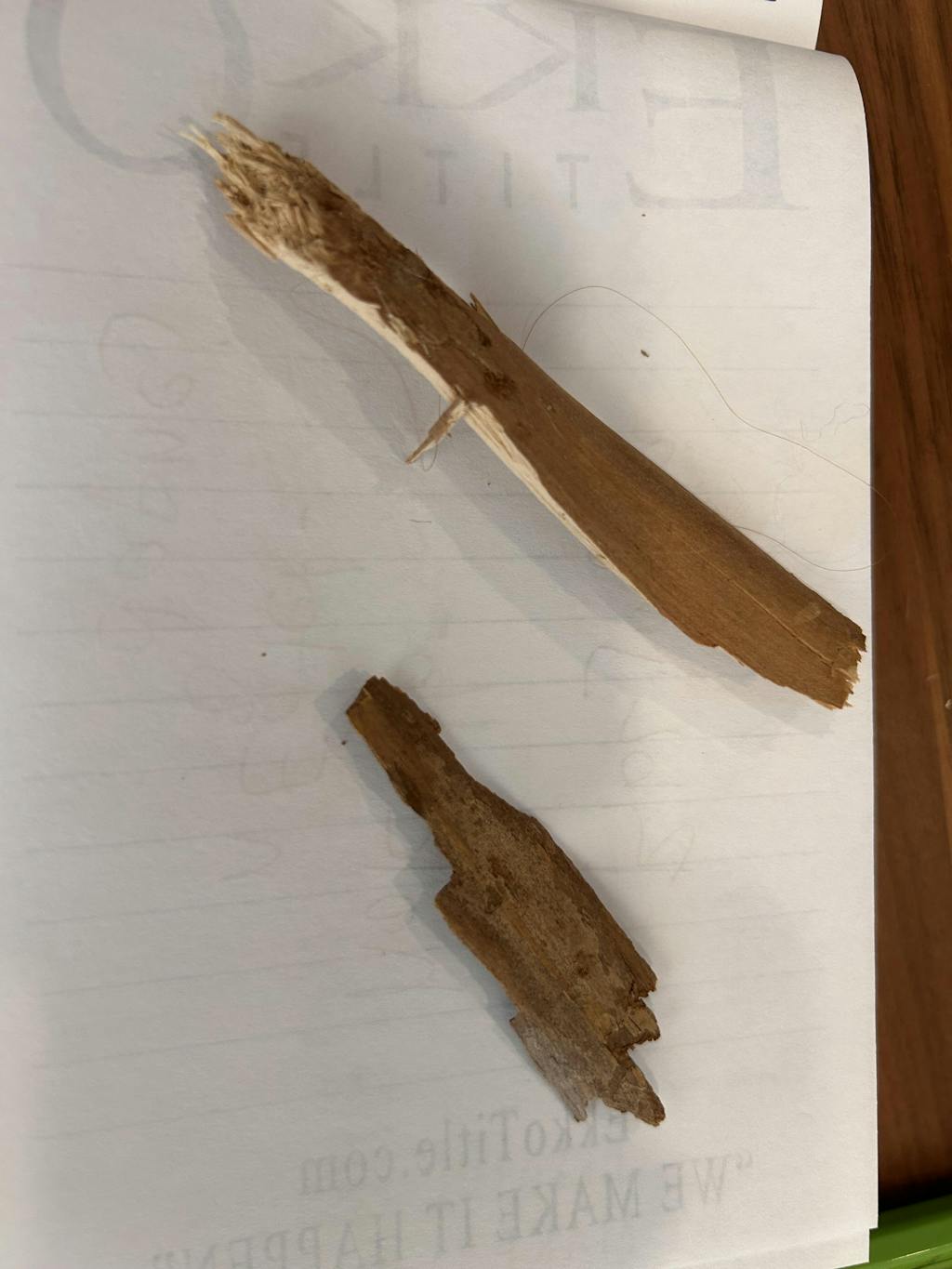 Coffee Wood Chews for Dogs | Sustainable & All-Natural from CANOPHERA ...