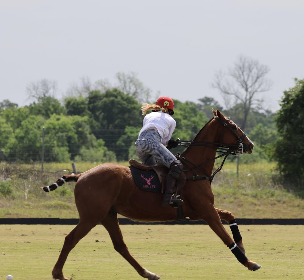 Athletic Breech - Houndstooth