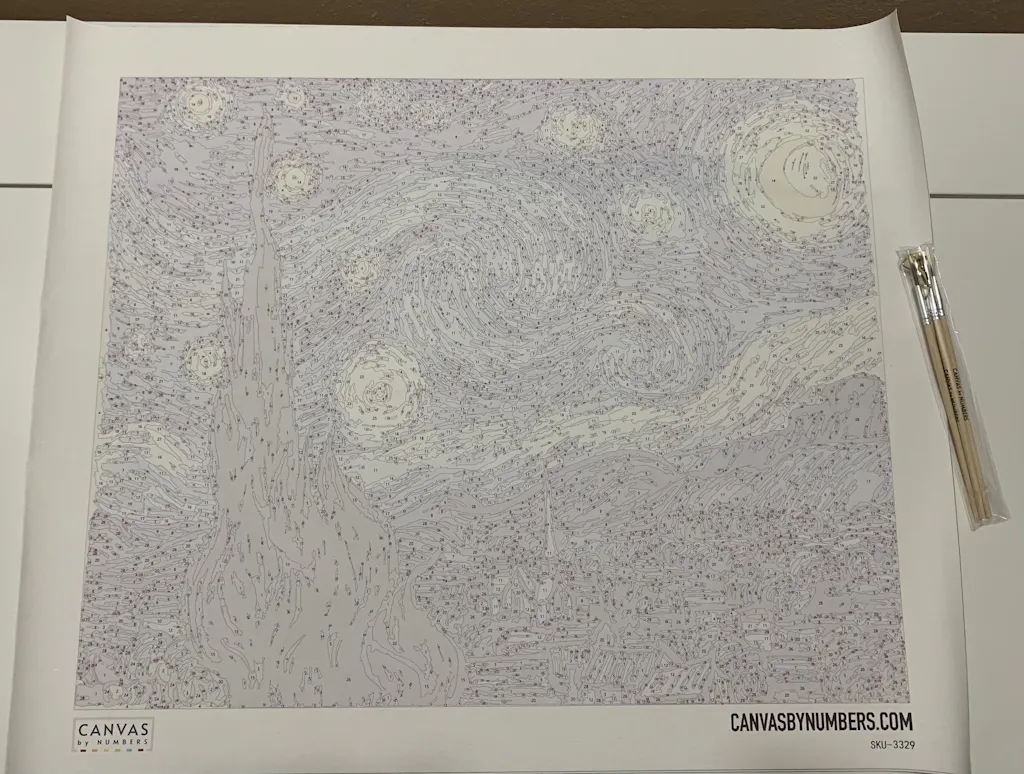 Van Gogh’s Starry Night Paint by Numbers | Canvas by Numbers