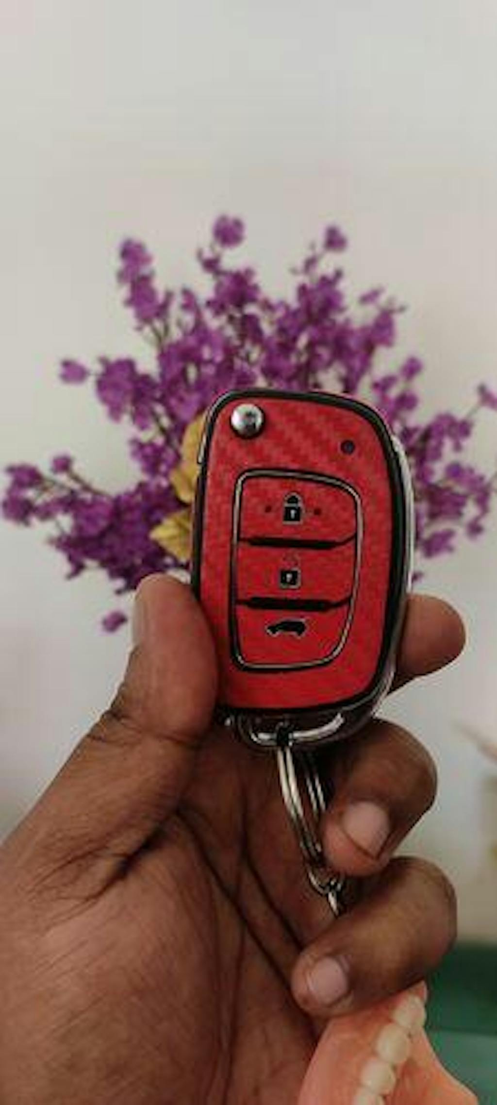 Tata Nexon Skins, Wraps & Covers » Capes