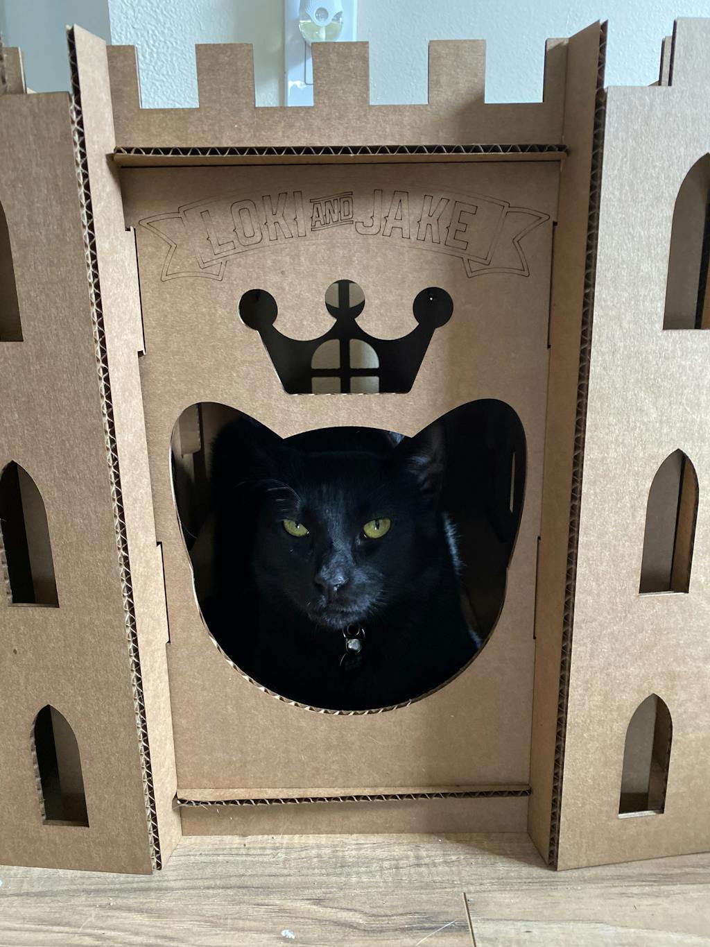 Cat Castle – Cardboard Cat Homes