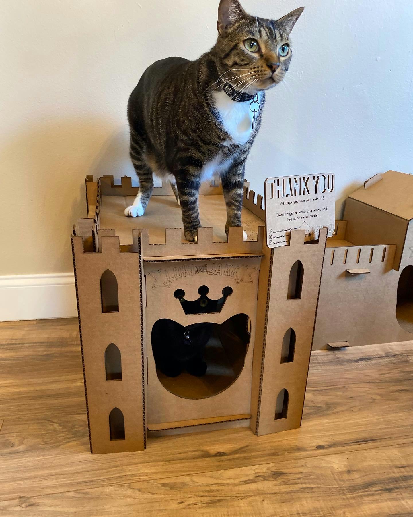Cat Castle – Cardboard Cat Homes