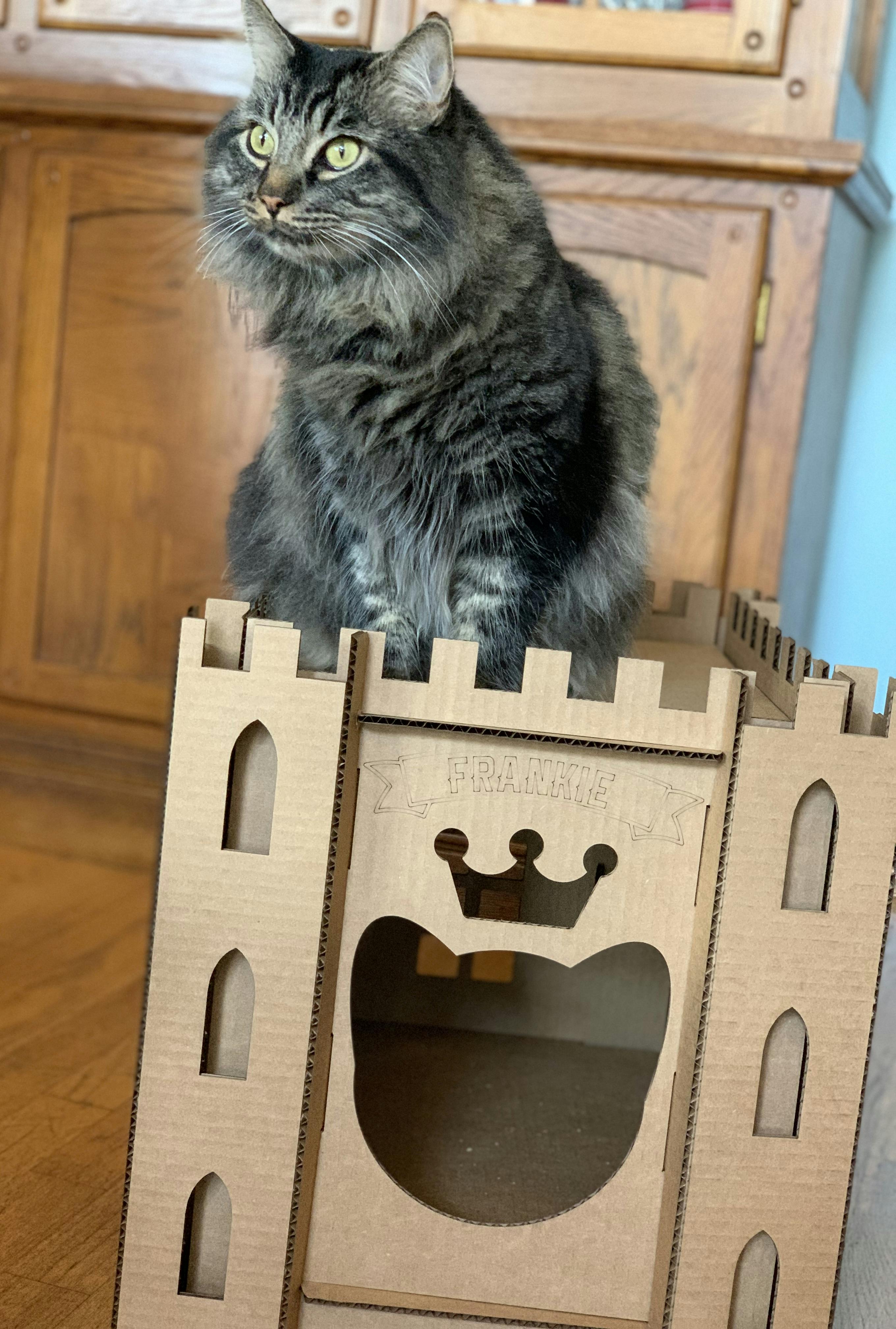 Cat Castle – Cardboard Cat Homes