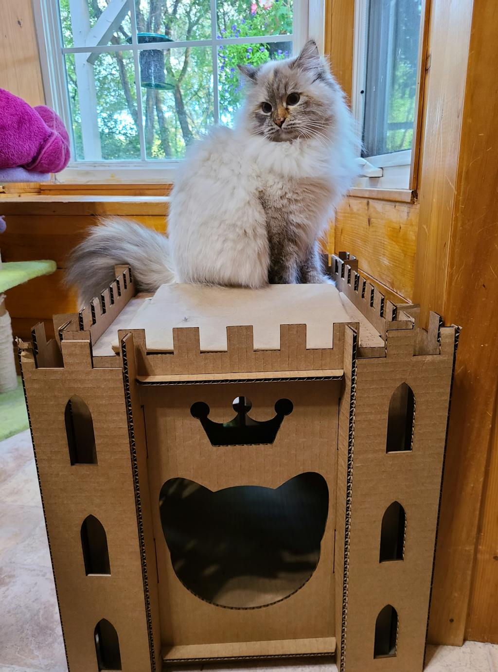 Cat Castle – Cardboard Cat Homes
